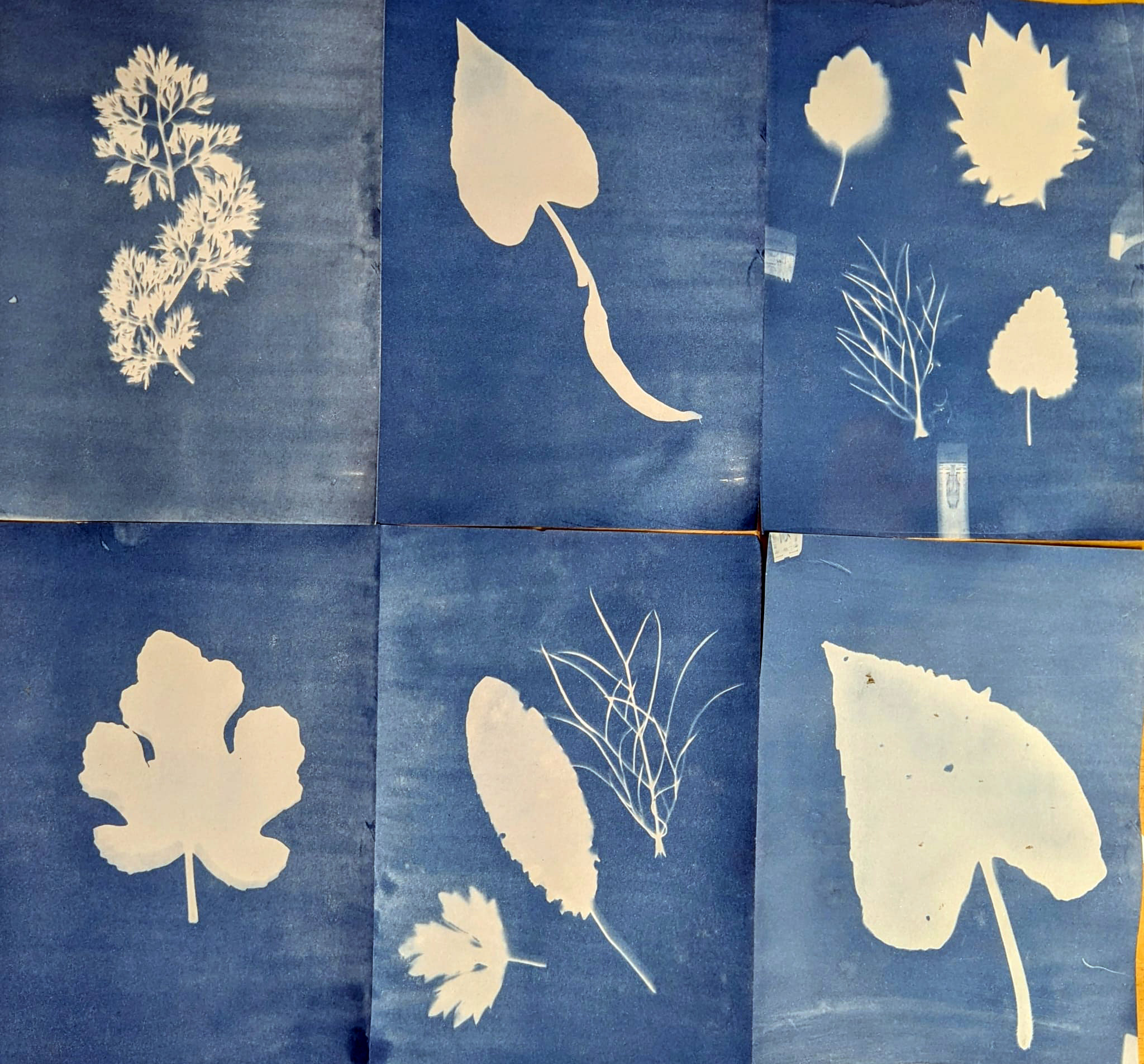 ‘New Leaf’ Project Report - Breathe Creative Anadl